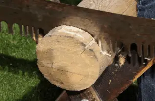 What Is A Crosscut Saw Used For? - Top Woodworking Advice