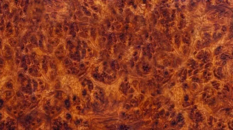 What Is Burl Wood? - Top Woodworking Advice