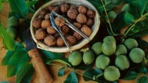 The Ultimate Guide To Walnut Wood - Top Woodworking Advice