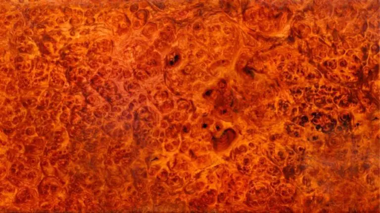 The Ultimate Guide to Burl Veneer: What You Need to Know - Top ...