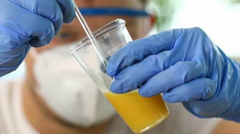 The Ultimate Guide to Liquid Wood - Top Woodworking Advice