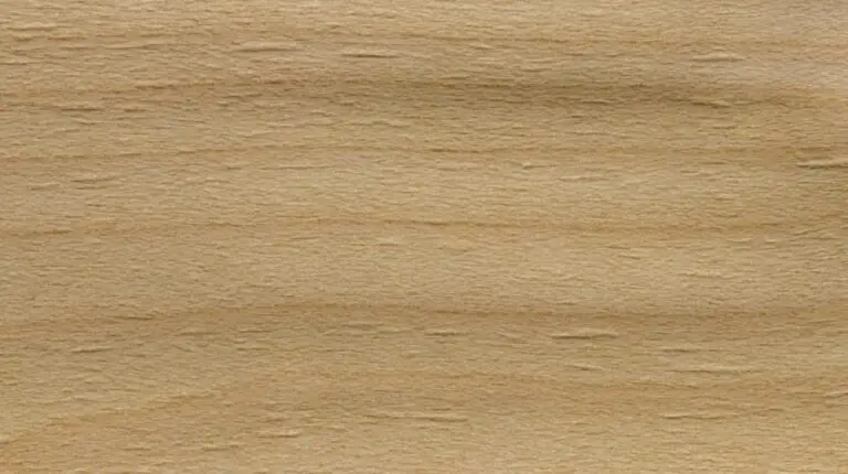 The Ultimate Guide to Sycamore Wood: What You Need to Know - Top ...