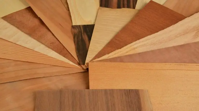 The Ultimate Guide to Wood Veneer - Top Woodworking Advice