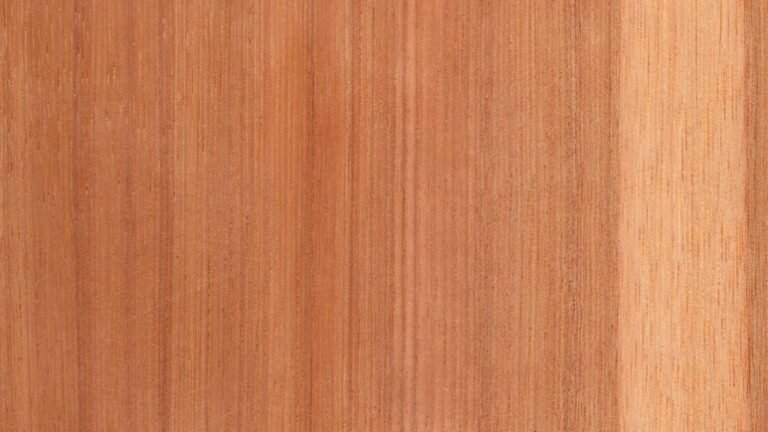 Hickory vs Walnut: Which Wood is Better for Your Project? - Top ...