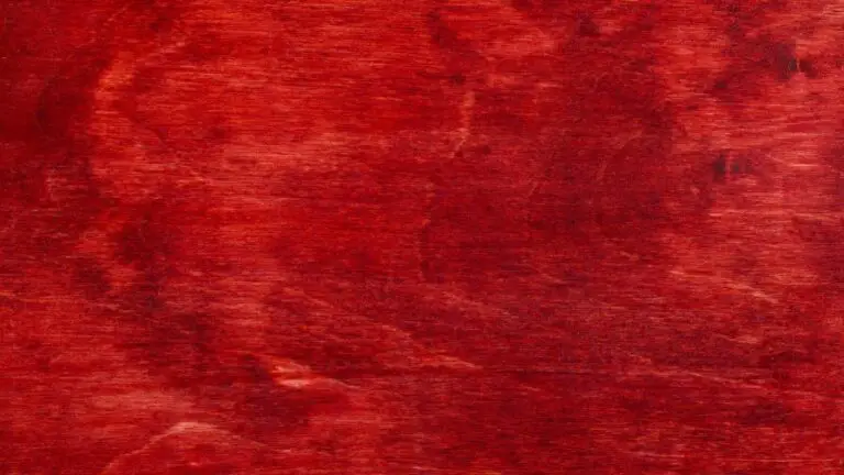 Maroon Wood: A Unique and Exotic Look For Your Project - Top ...