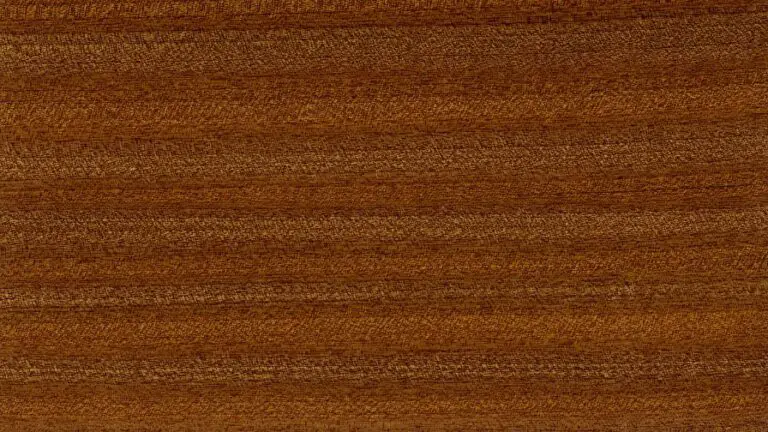 Hickory vs Walnut: Which Wood is Better for Your Project? - Top ...