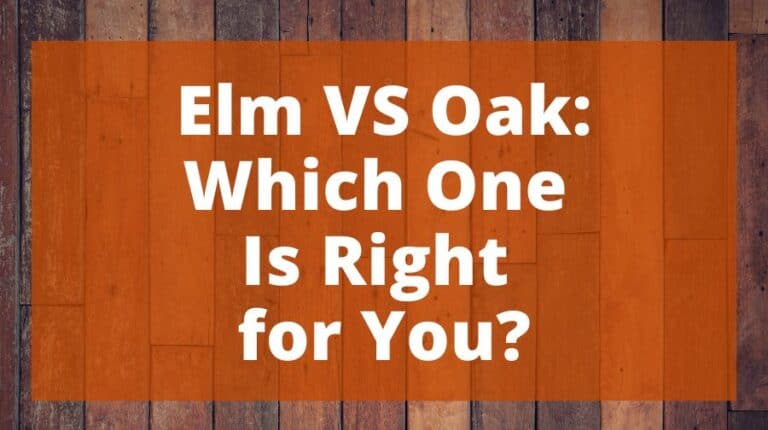 Elm vs Oak: Which One Is Right for You? - Top Woodworking Advice