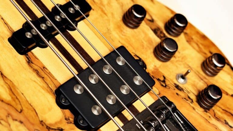 The Ultimate Guide To Spalted Maple - Top Woodworking Advice