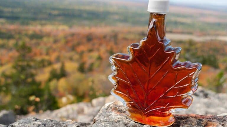 Soft Maple VS Hard Maple: What's the Difference? - Top Woodworking Advice