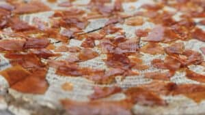 How To Dewax Shellac? - Top Woodworking Advice