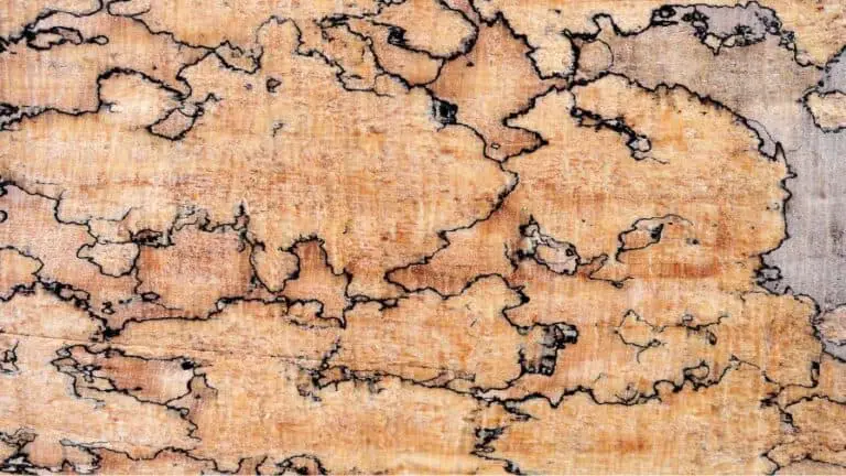 Best Finish For Spalted Maple - Top Woodworking Advice