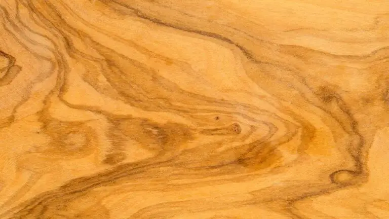 What Is The Difference Between Matte And Ultra Flat Polycrylic? 3 Keys ...