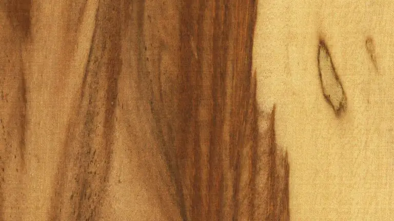 The Ultimate Guide To Marblewood - Top Woodworking Advice