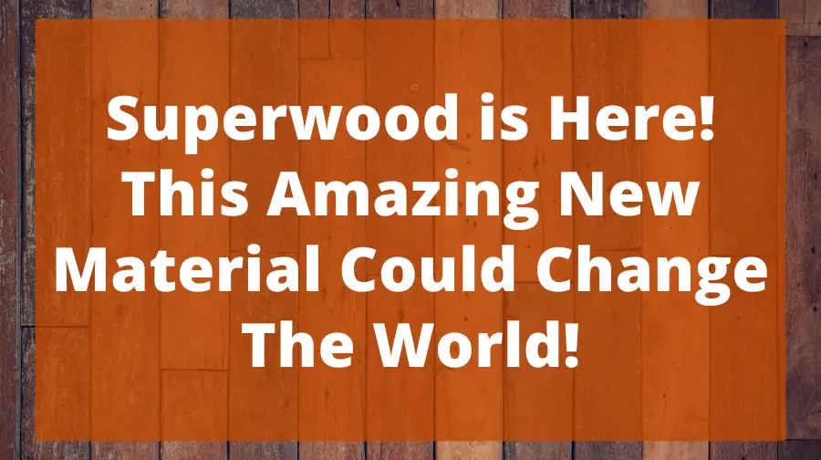 Superwood is Here! This Amazing New Material Could Change The World ...